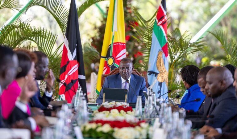 Ruto, CSs Make Radical Appointments To Different Parastatals - AfricasNow